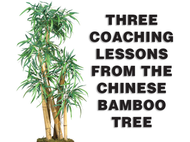 Three Coaching Lessons from the Chinese Bamboo Tree - Tuckahoe Sports